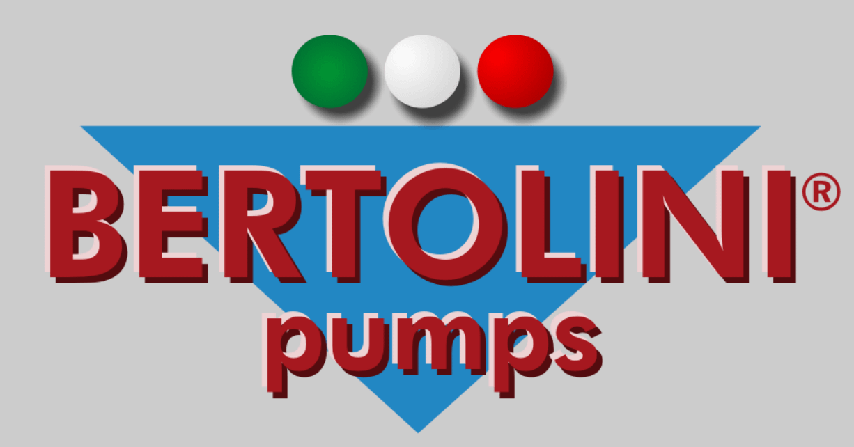 Bertolini Pumps ricerca parter/acquirente cinese - Avvicina